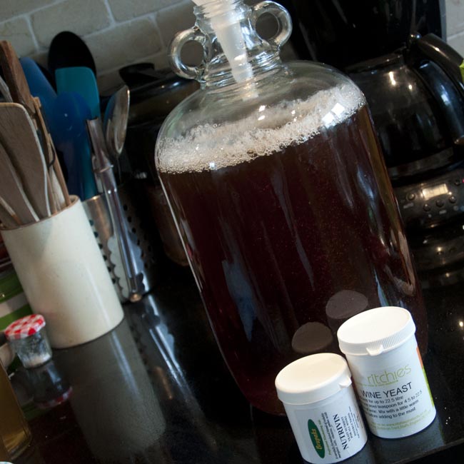 Sinfully Simple Cider – yes, you really can brew this at home ...