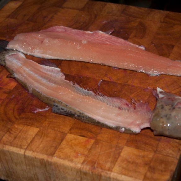 Fillets Of Fish – how to gut, clean, and fillet a trout – Blog Advent ...