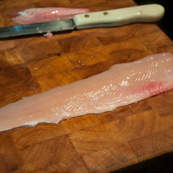 Fillets Of Fish – how to gut, clean, and fillet a trout – Blog Advent ...