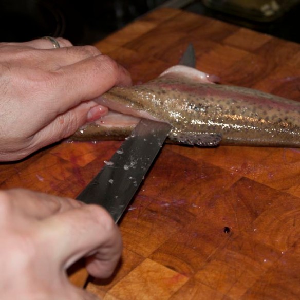 Fillets Of Fish – how to gut, clean, and fillet a trout – Blog Advent ...