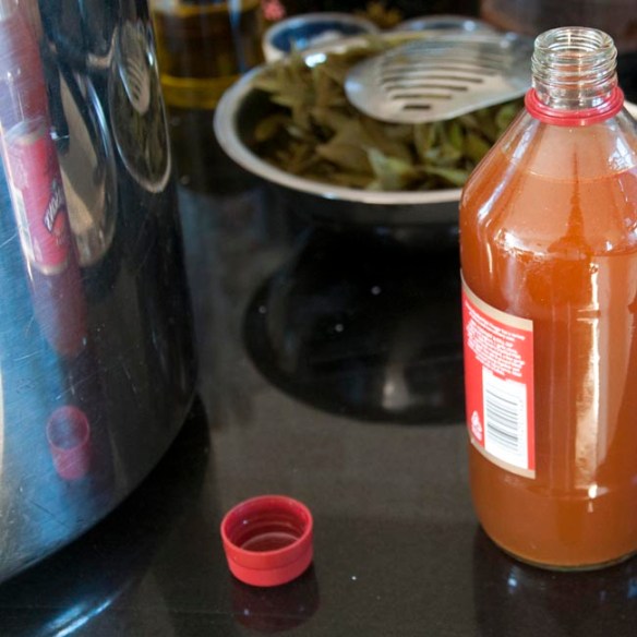 The Key, The Secret? – spicy pickled ash keys | Country Skills for ...