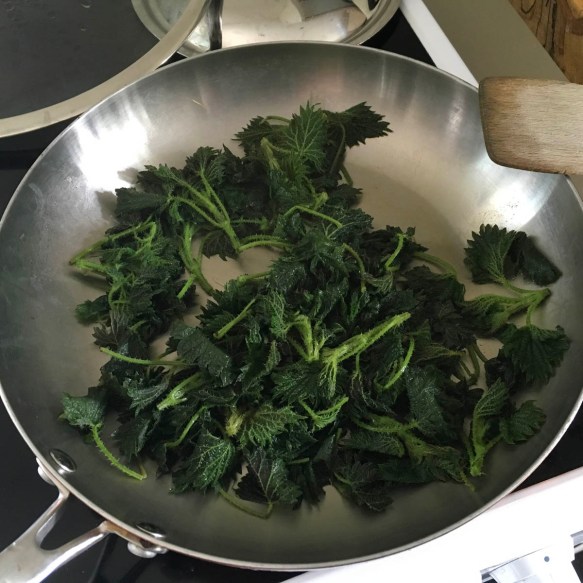 Stinging Nettle Gnocchi with Garlic and Sage butter – advice on eating ...